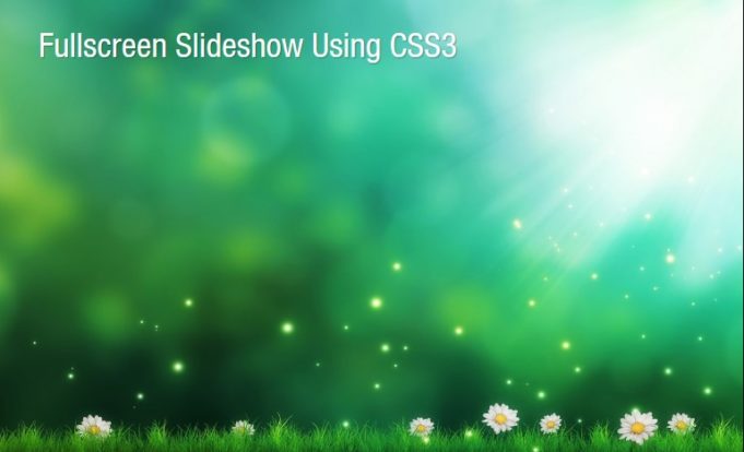 How To Fixed Table Header Using Css Css3 Transition